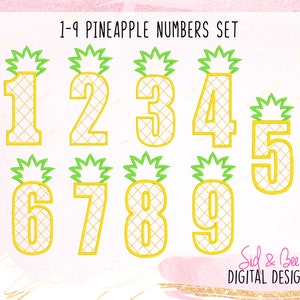 Applique Numbers Set, Embroidery Numbers, Birthday, Pineapple, Applique ...