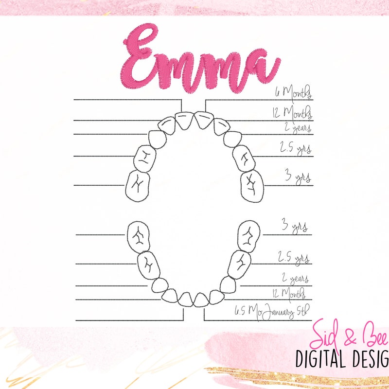 Tooth Chart - Etsy