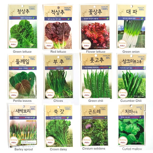 Korean Seeds - Etsy