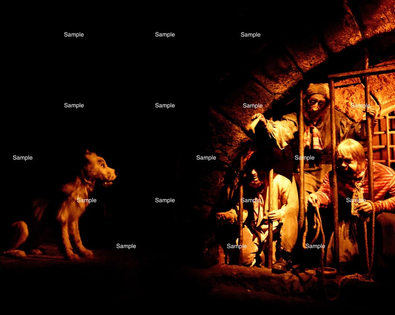 Pirates of the Caribbean Jail Scene - Etsy