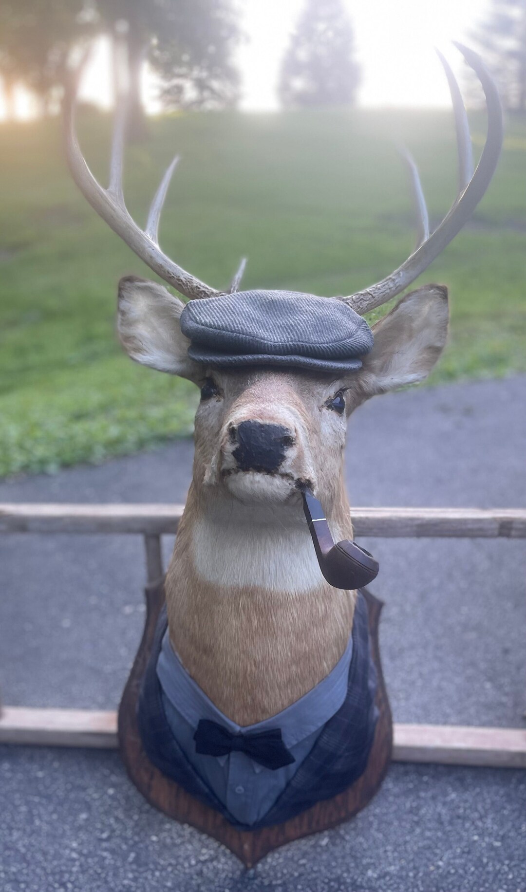 Vintage Dapper Deer Mount - Etsy