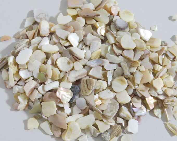 Iridescent Craft Shell Chips, Mother of Pearl Chips, Craft Decor Shell ...