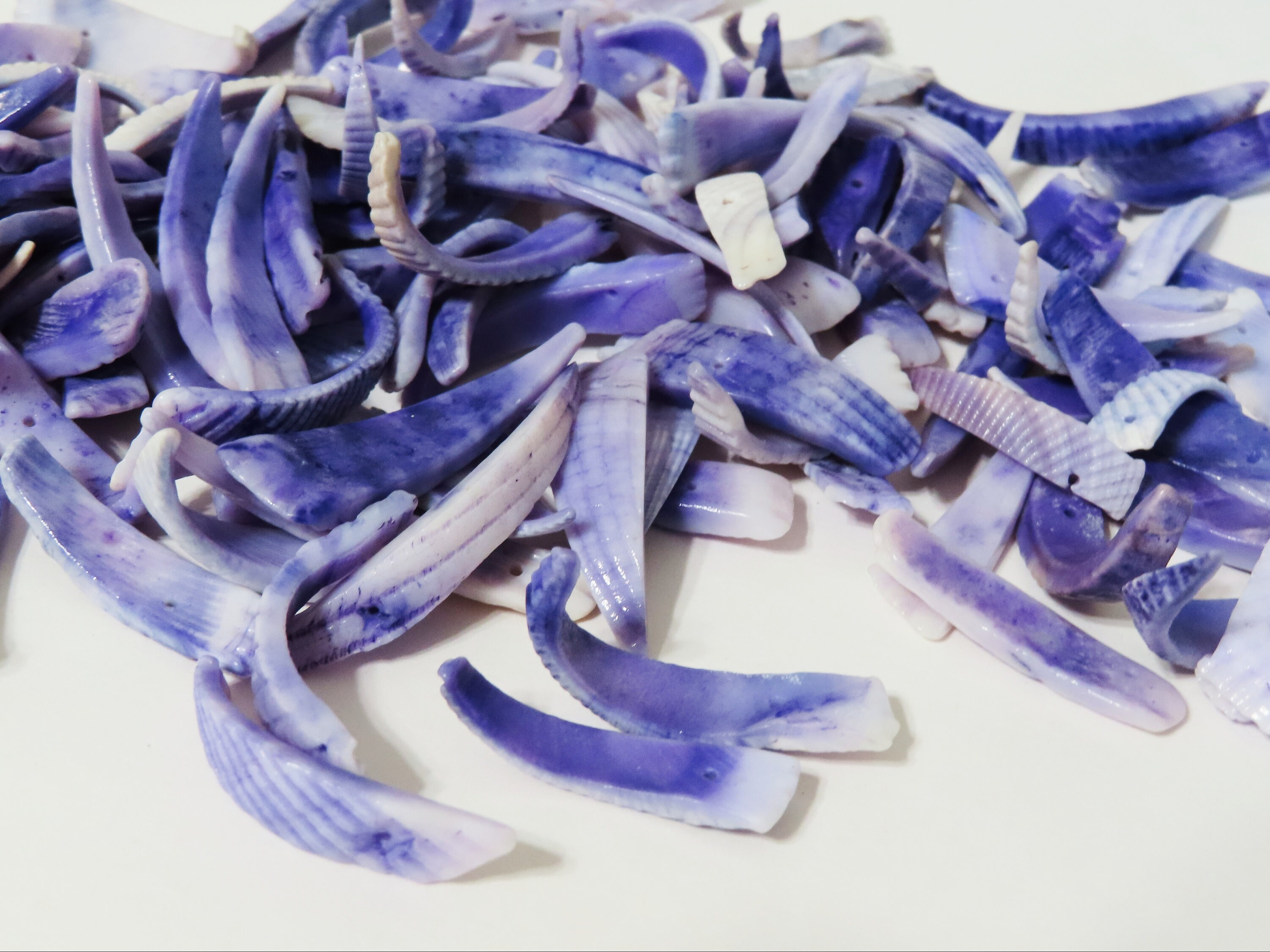 40 Shell Stick Charms/beads Large Spike Drop Stick Shell - Etsy