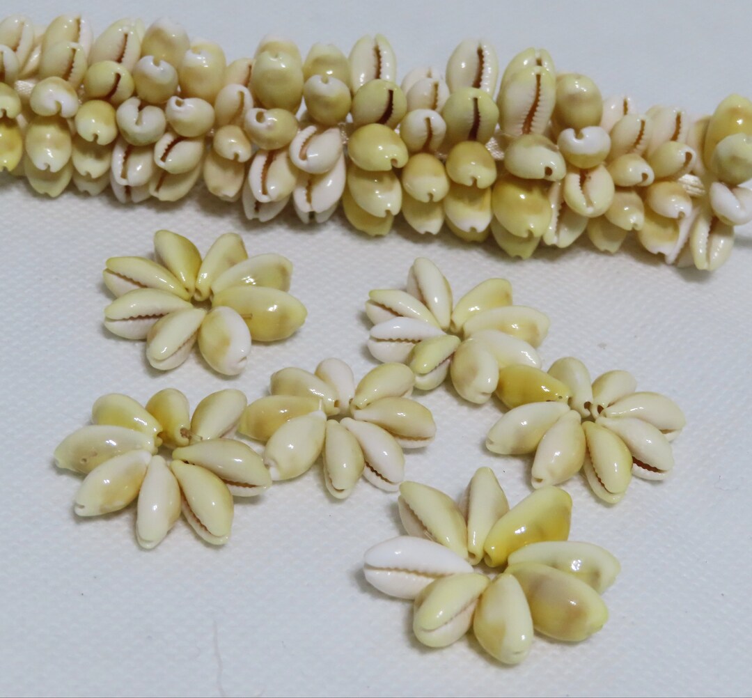 5 Cowrie Shell Flowers, Cowrie Shell Rings, Yellow Shell Rosettes - Etsy