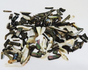 Black Lip Shell Beads an Organic Gemstone Mother-of-pearl - Etsy
