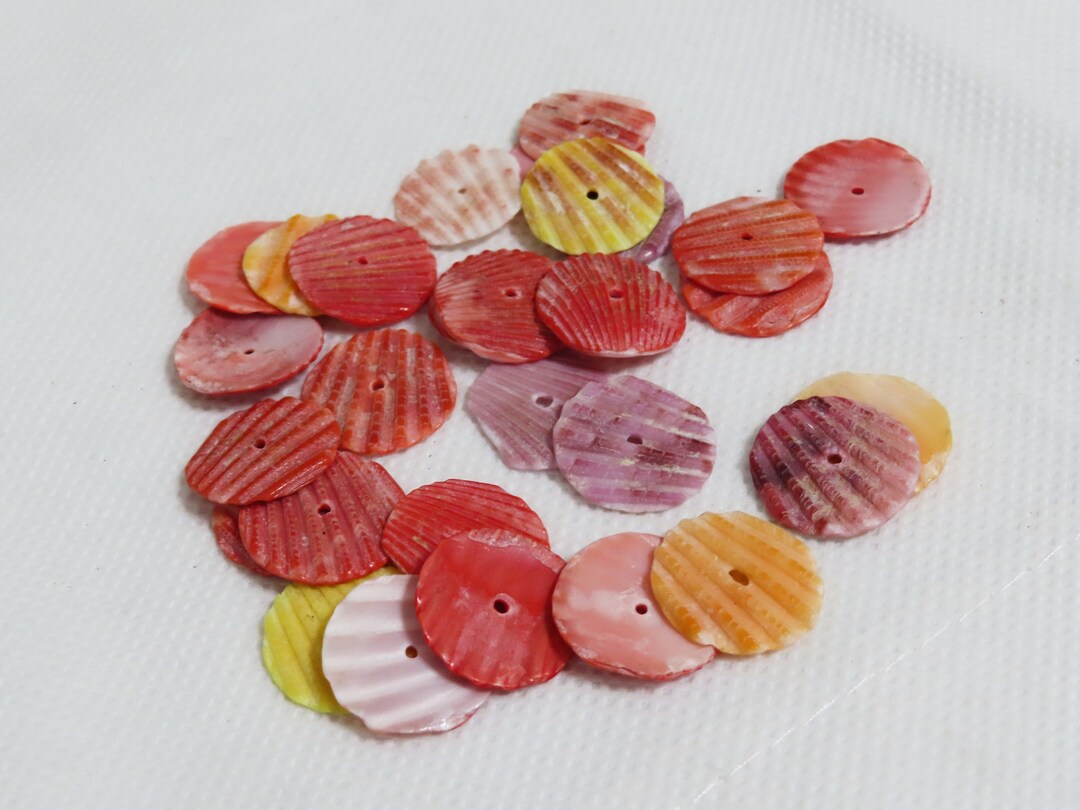 29 Multi Colored Pectin Shell Heishi Beads 20mm - Etsy