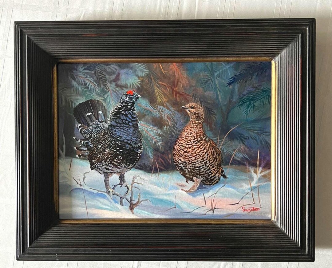 Original Oil Painting of Spruce Grouse, on 12"x16" Panel, by David ...