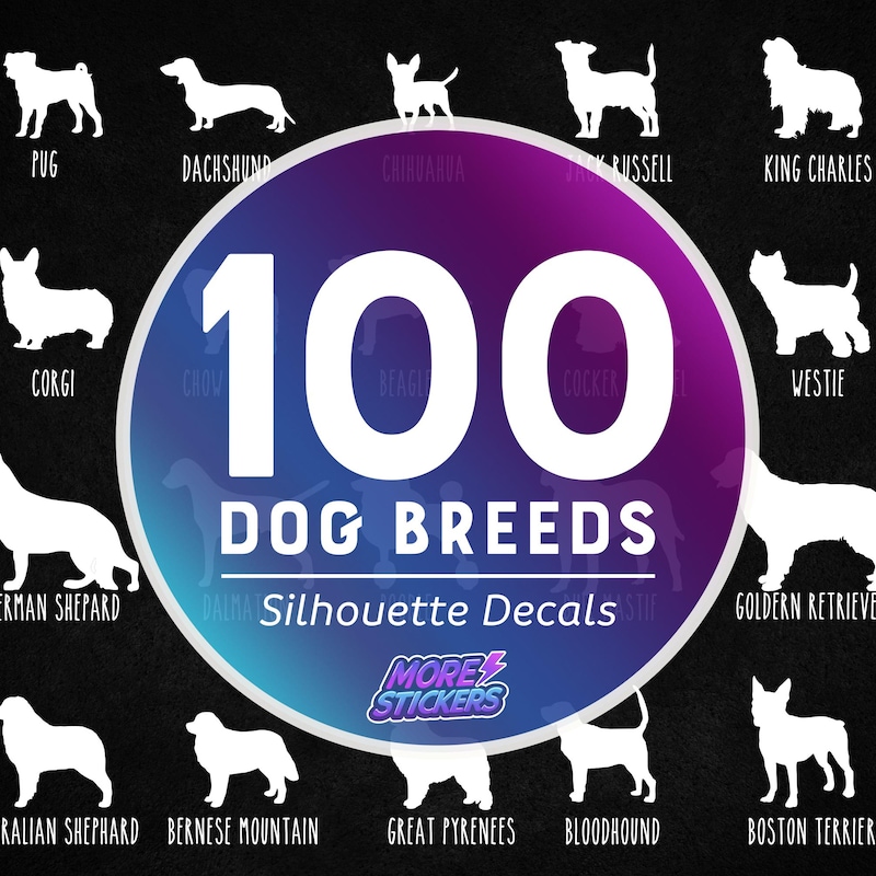 Hidden Decals for Cars - Etsy