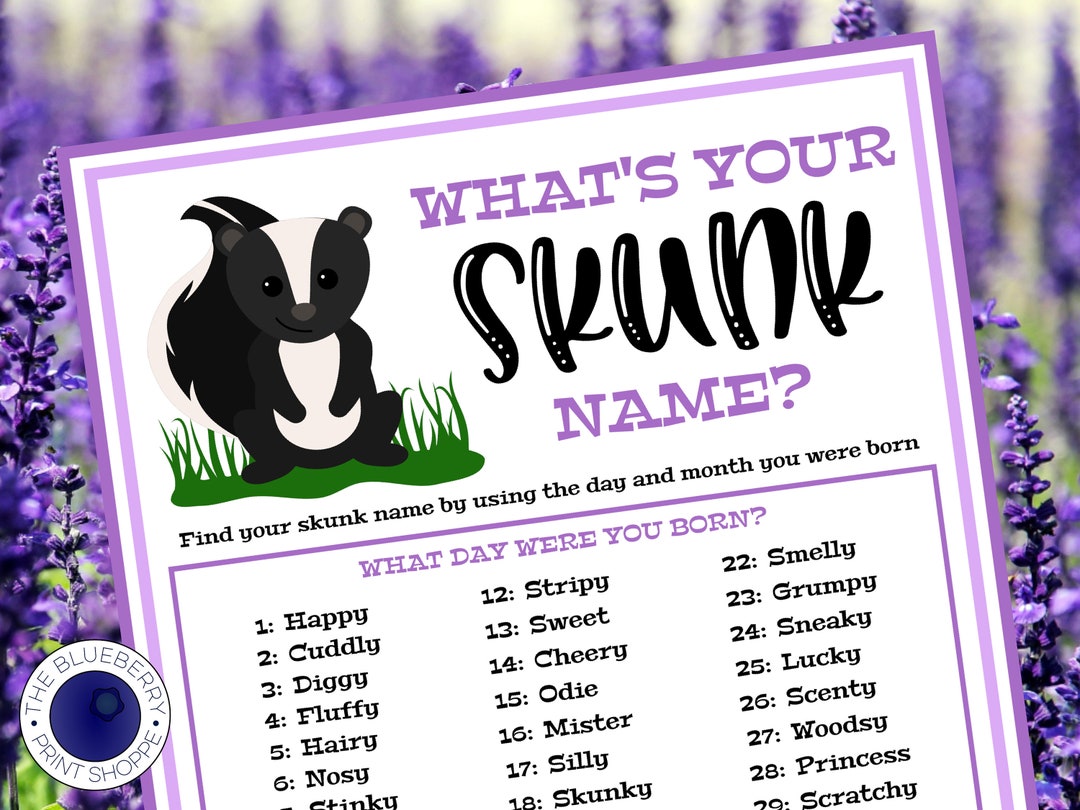 What's Your Skunk Name? Game WITH NAMETAGS & SIGN | Little Stinker ...