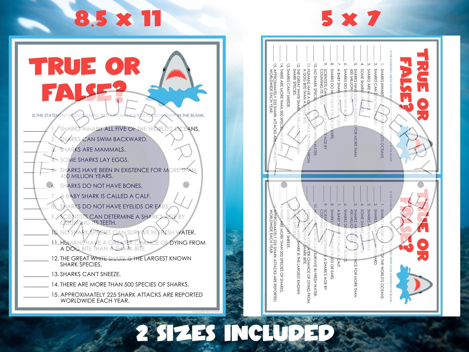 Shark Trivia Game | 15 True or False Questions About Sharks | Shark ...