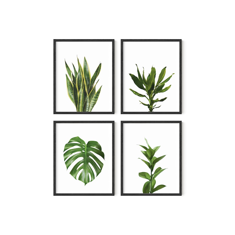 Plant Wall Art - Etsy