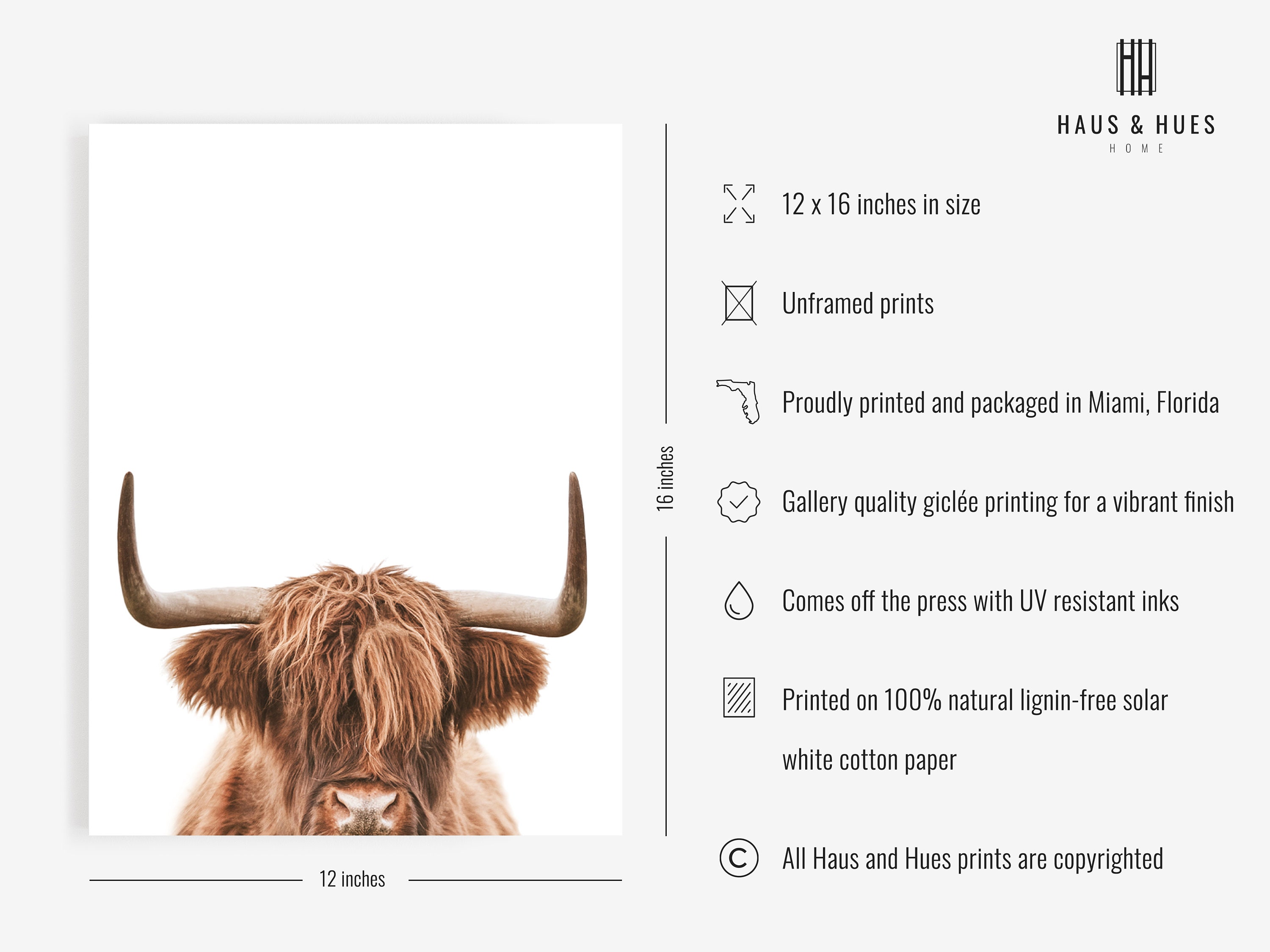 Haus and Hues Highland Cow Wall Art Highland Cow Print and | Etsy