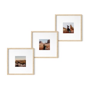 Haus and Hues 8x8 Frames -square Frames Beige Picture Frames, 8x8 ...