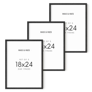 Haus and Hues 18 X 24 Picture Frame - Set of 1, 18x24 Poster Frame ...