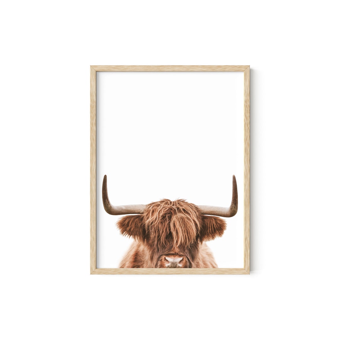 Haus and Hues Highland Cow Wall Art - Highland Cow Print and Bull Wall ...