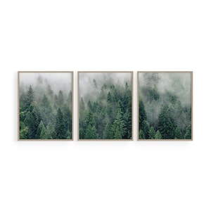 Haus and Hues Misty Forest Print Nature Poster - Forest Posters ...