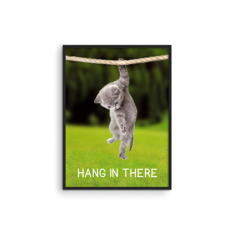 Hang in There Cat Poster - Etsy
