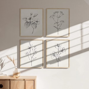 Haus and Hues Grey Floral Wall Art - Set of 4 Plant Posters for Wall ...