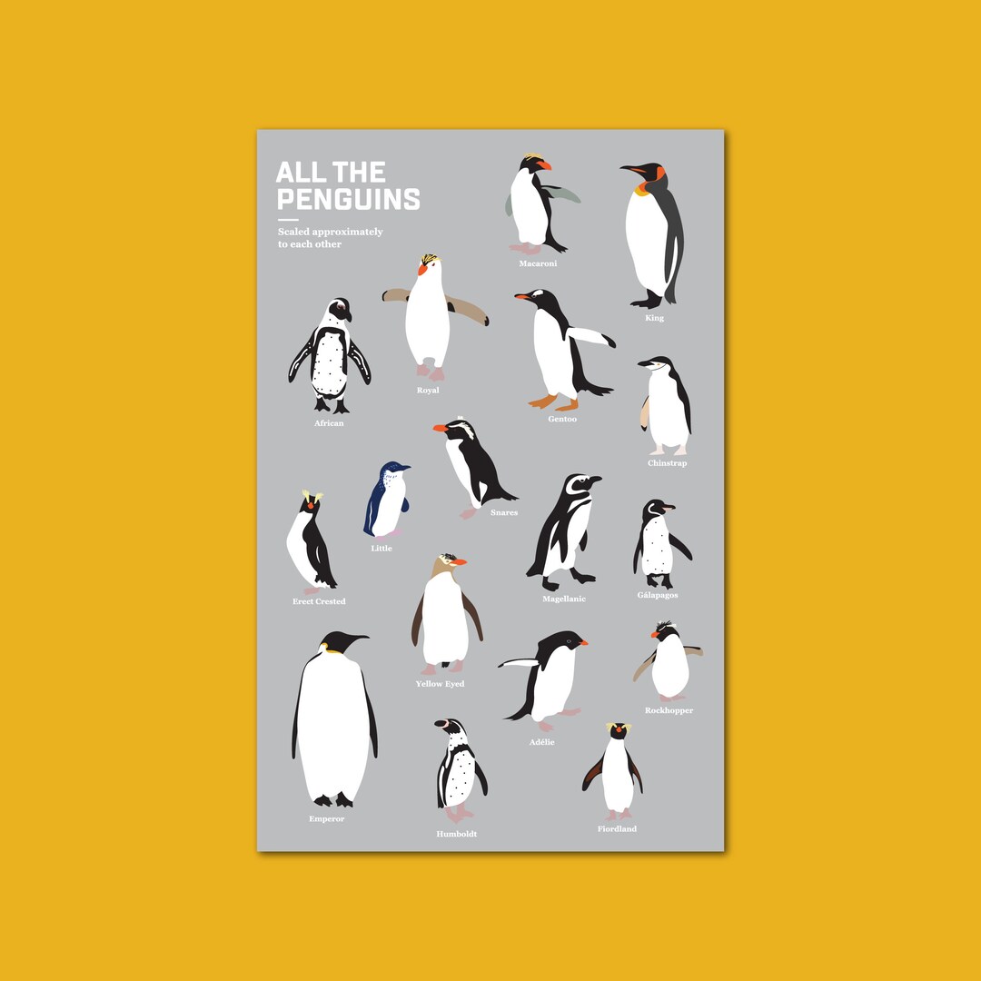 Penguin Poster 11x17 Digital - Etsy