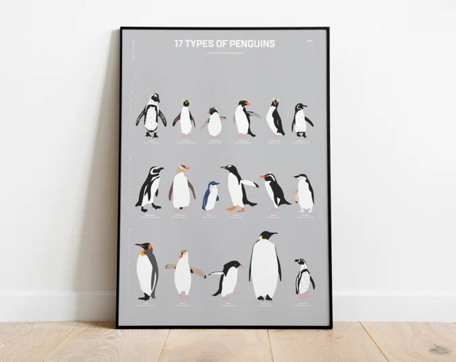 Digital Penguins of the World Poster - Etsy