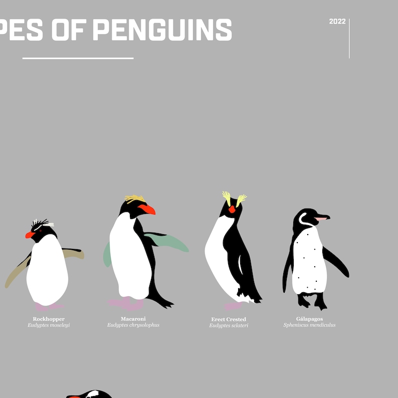 Digital Penguins of the World Poster - Etsy