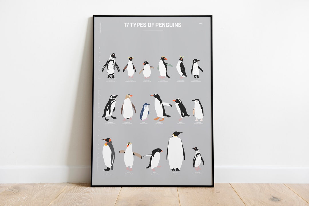 Penguins of the World Poster - Etsy