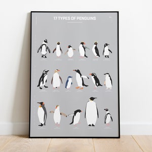 Penguins of the World Poster - Etsy