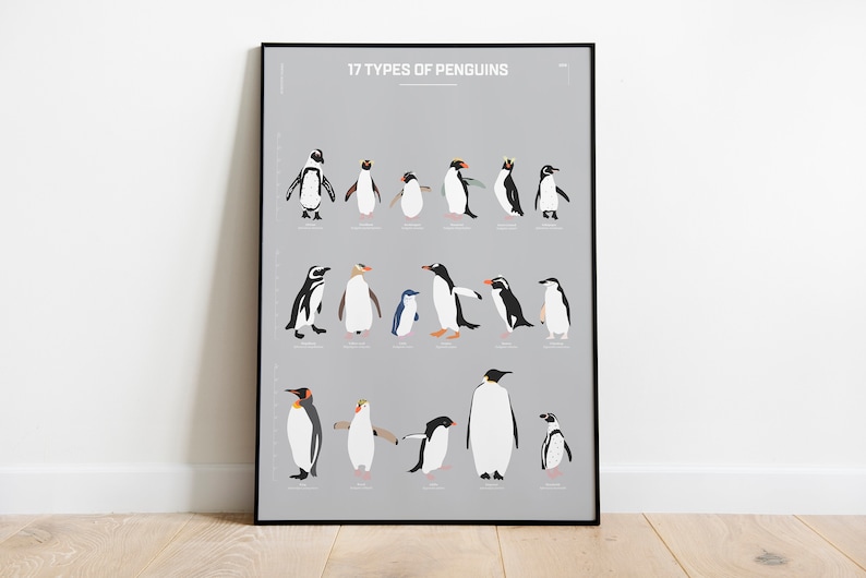 Penguins of the World Poster - Etsy