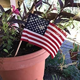 Mini American Flags, Hand Held American Flags on Sticks, (set of 2) - Etsy
