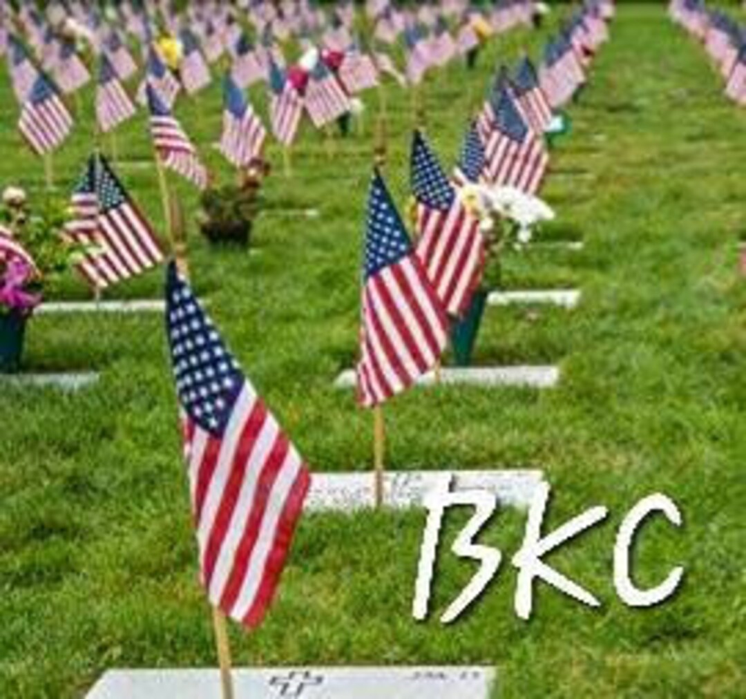 Large American Flags | Hand Held American Flags on Sticks, (set of 2 ...