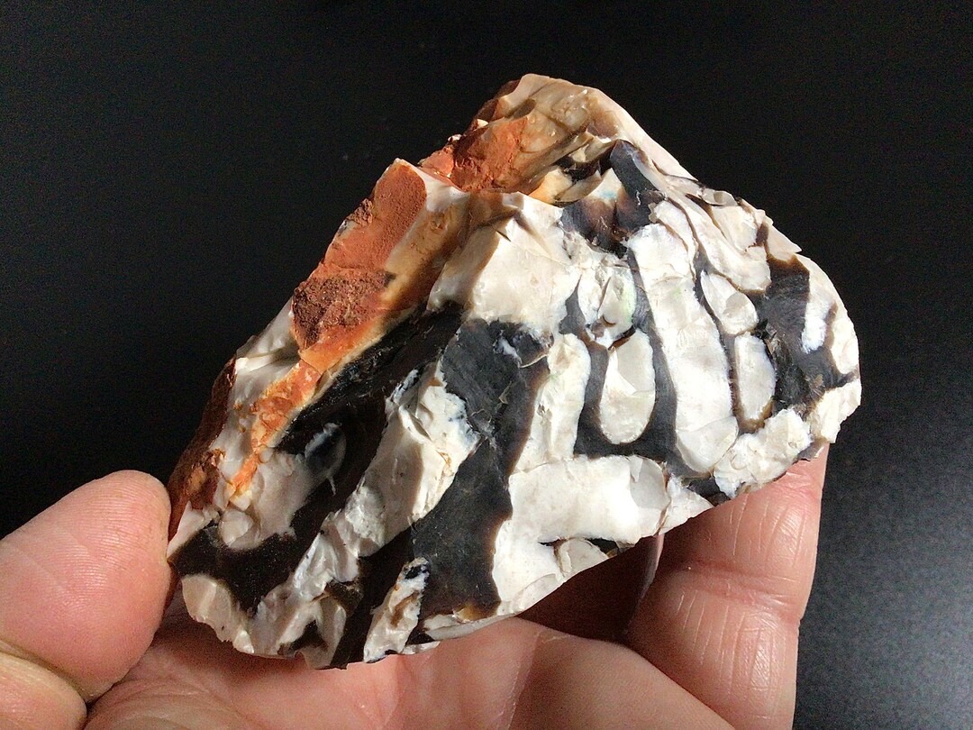 225g Rough Peanut Wood Piece 2C - Etsy