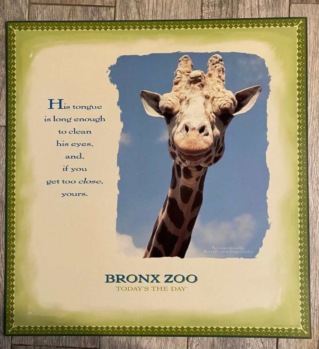 The Bronx Zoo NYC Subway Poster Giraffe - Etsy