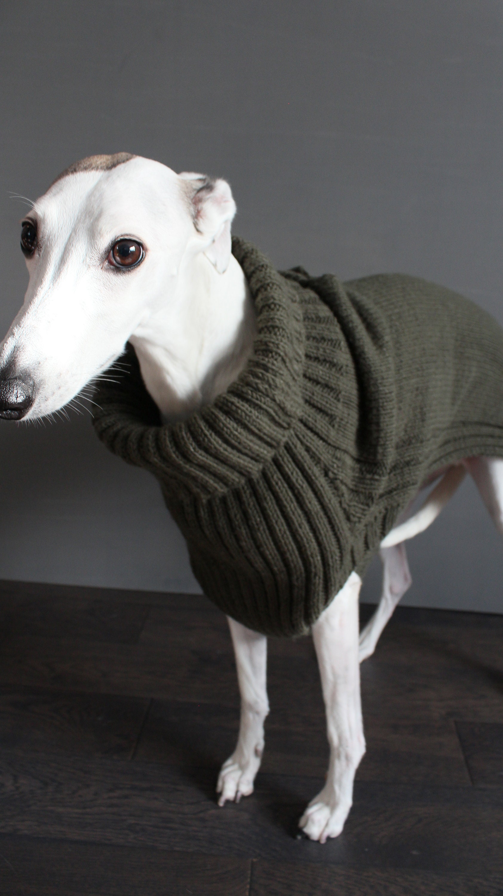 Long Neck Dog Sweater cowl Neck Turtleneck Hand Knitted - Etsy Canada