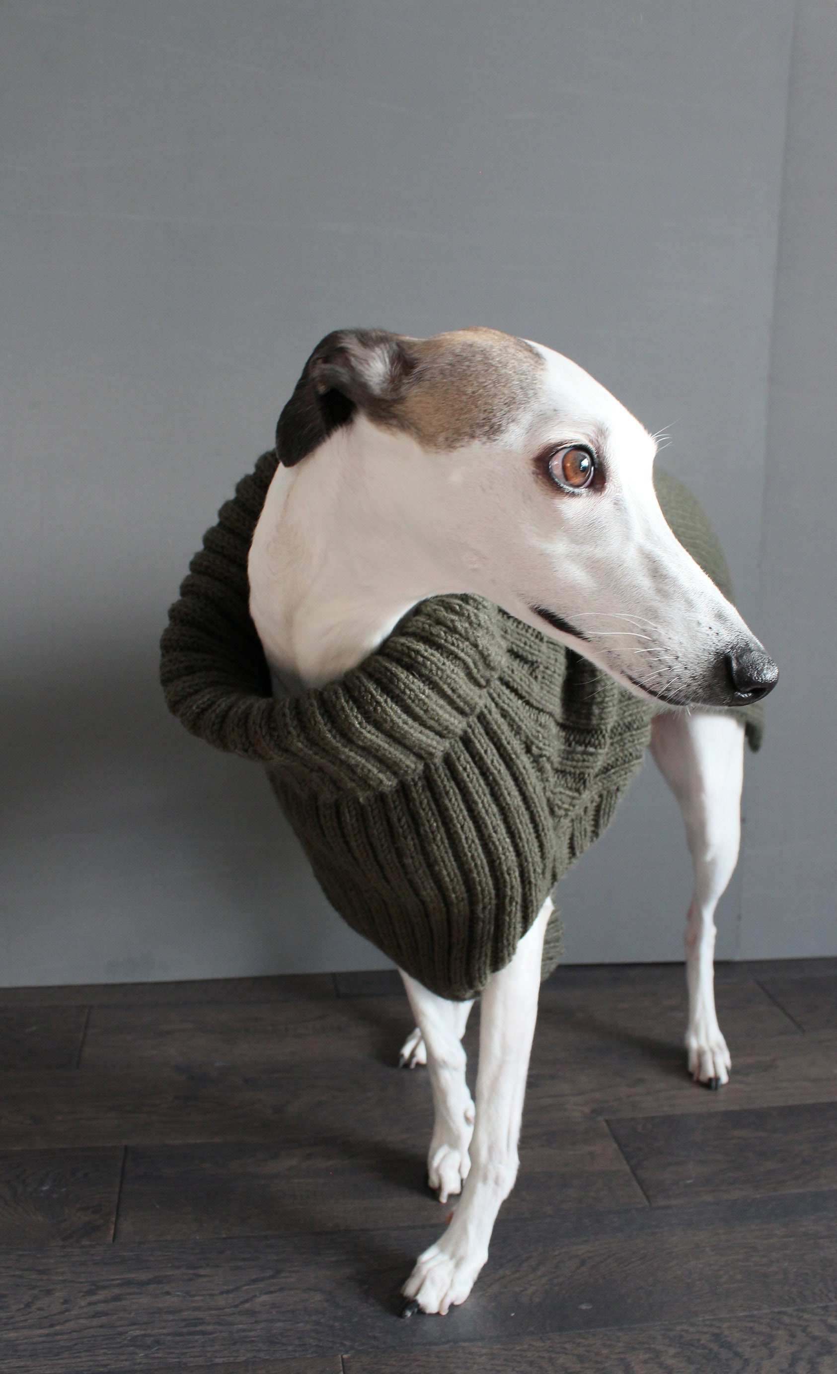 Long Neck Dog Sweater cowl Neck Turtleneck Hand Knitted - Etsy Canada