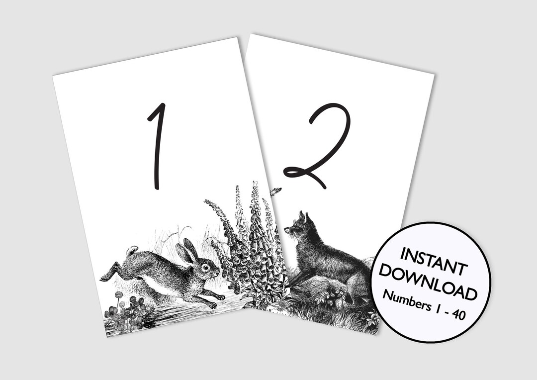 DIGITAL FILE Vintage Woodland Table Numbers Instant Download - Etsy