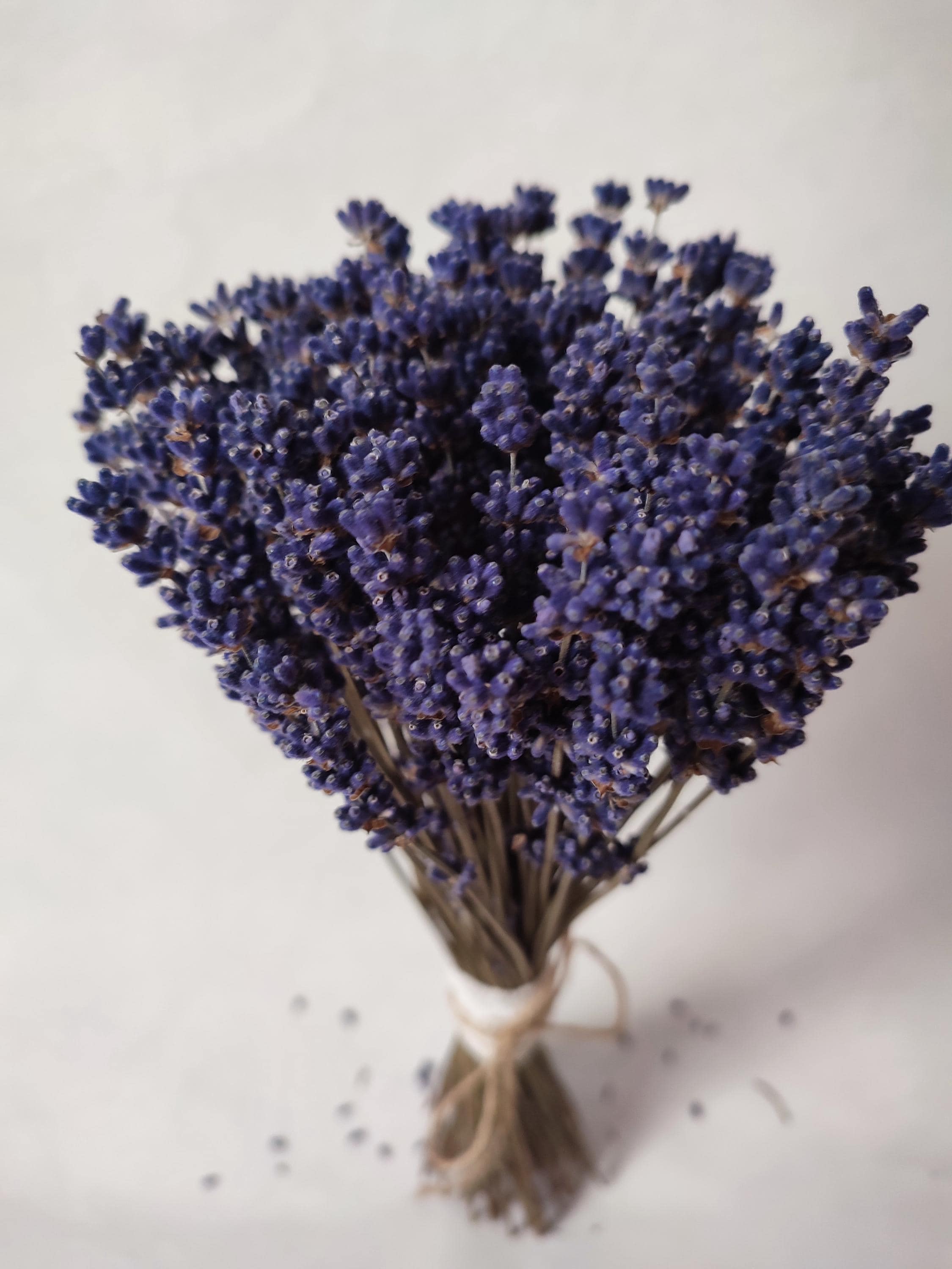 Dried Lavender Bunch | Dried Lavender Bouquet | Dried Lavender Flowers ...