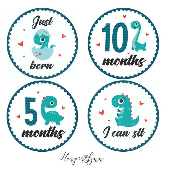 Monthly Stickers Boy - Etsy