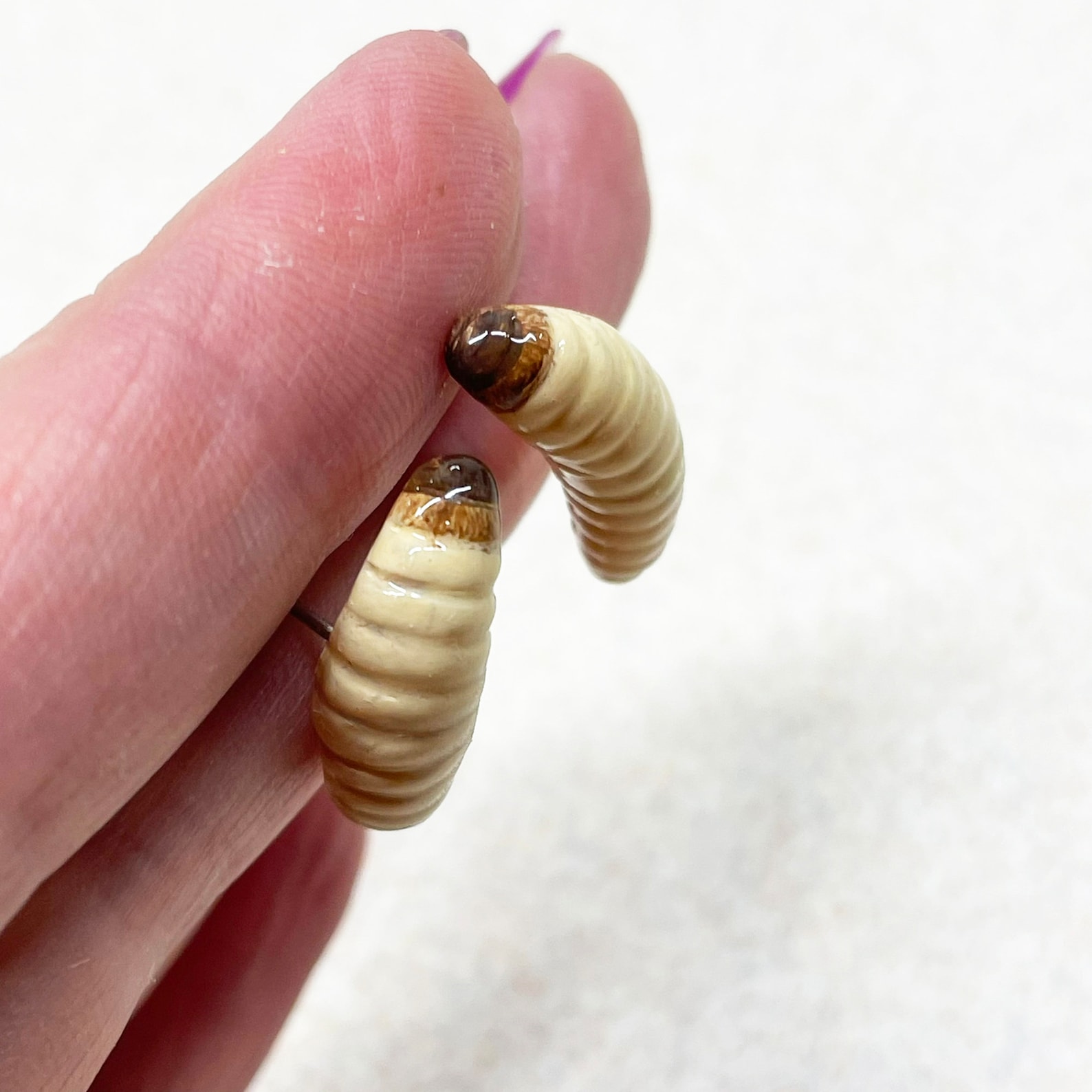 Handmade Grub Earrings: Unique Insect Jewelry, Fisherman Gift - Etsy