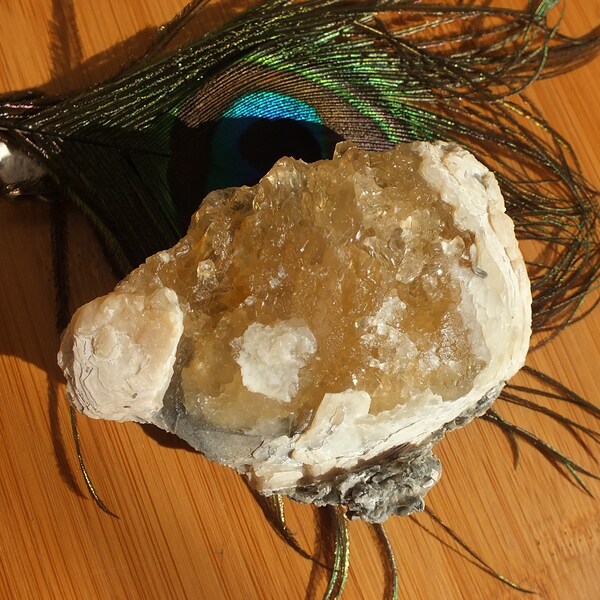 Mineral Shell Rock - Etsy