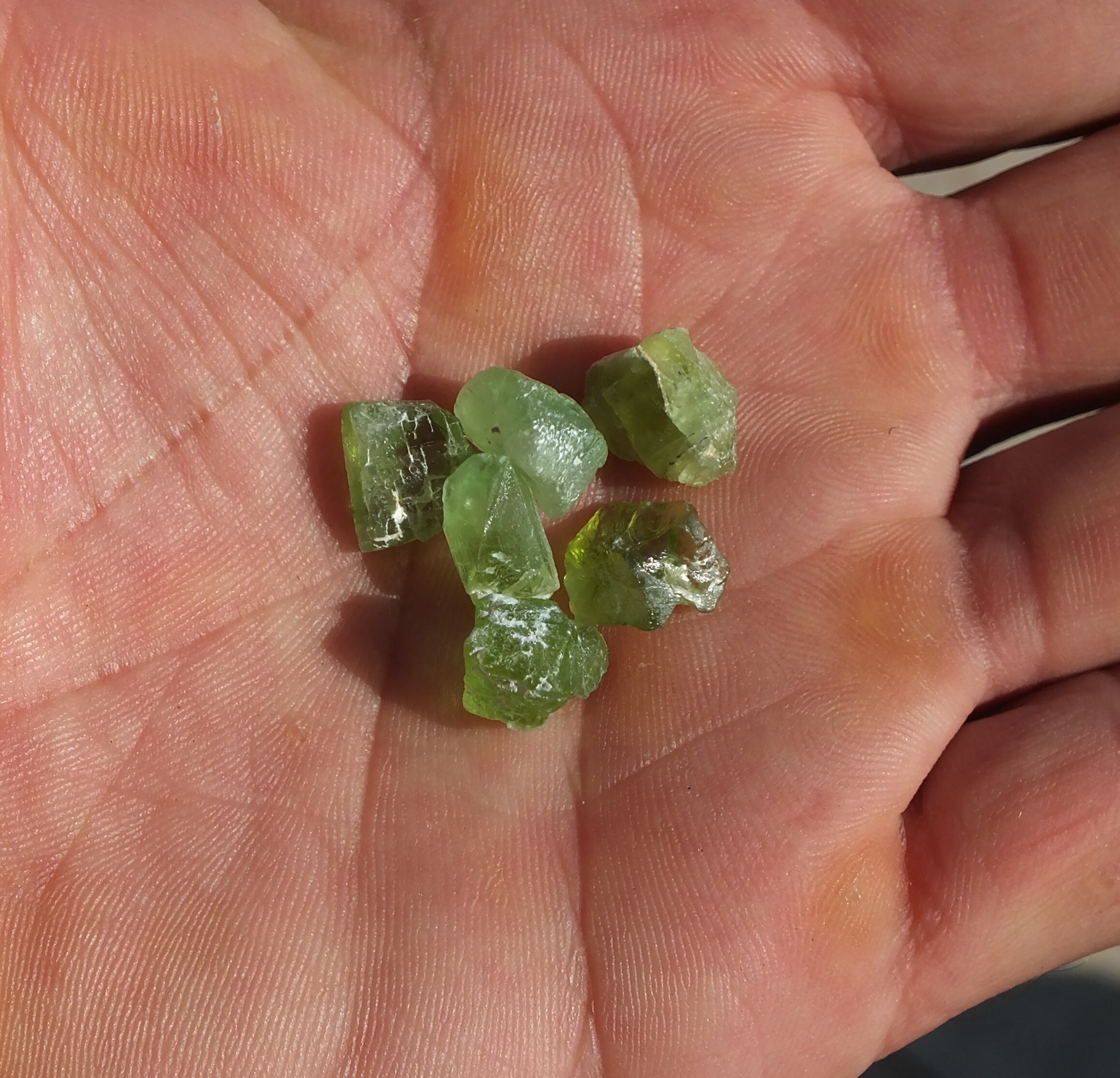 Peridot Crystals High Grade Untreated 6 Small Crystals | Etsy