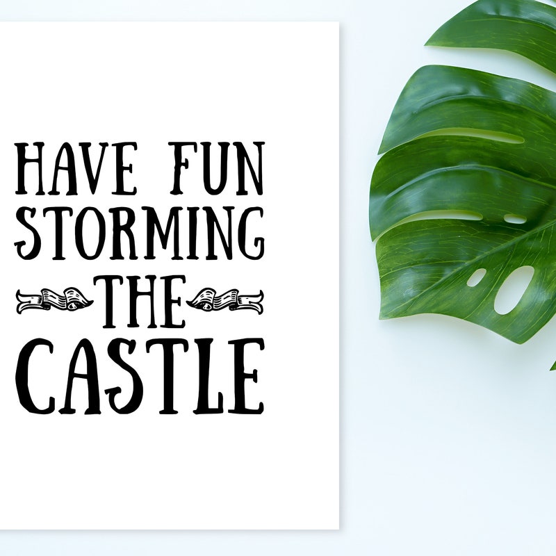 Princess Bride Quote - Etsy