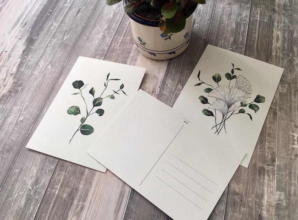 Ginkgo-eucalyptus Postcards - Etsy