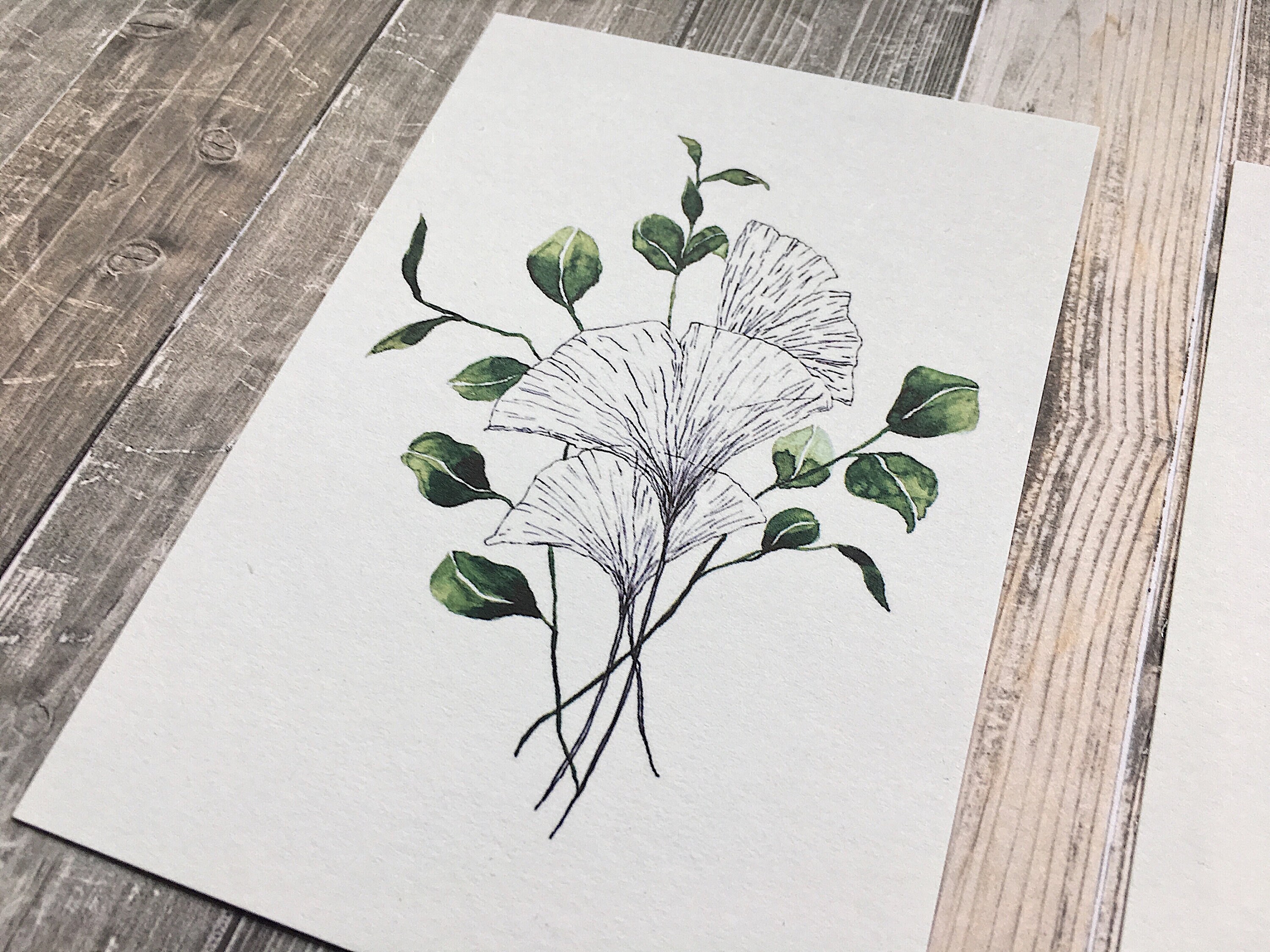 Ginkgo-eucalyptus Postcards - Etsy