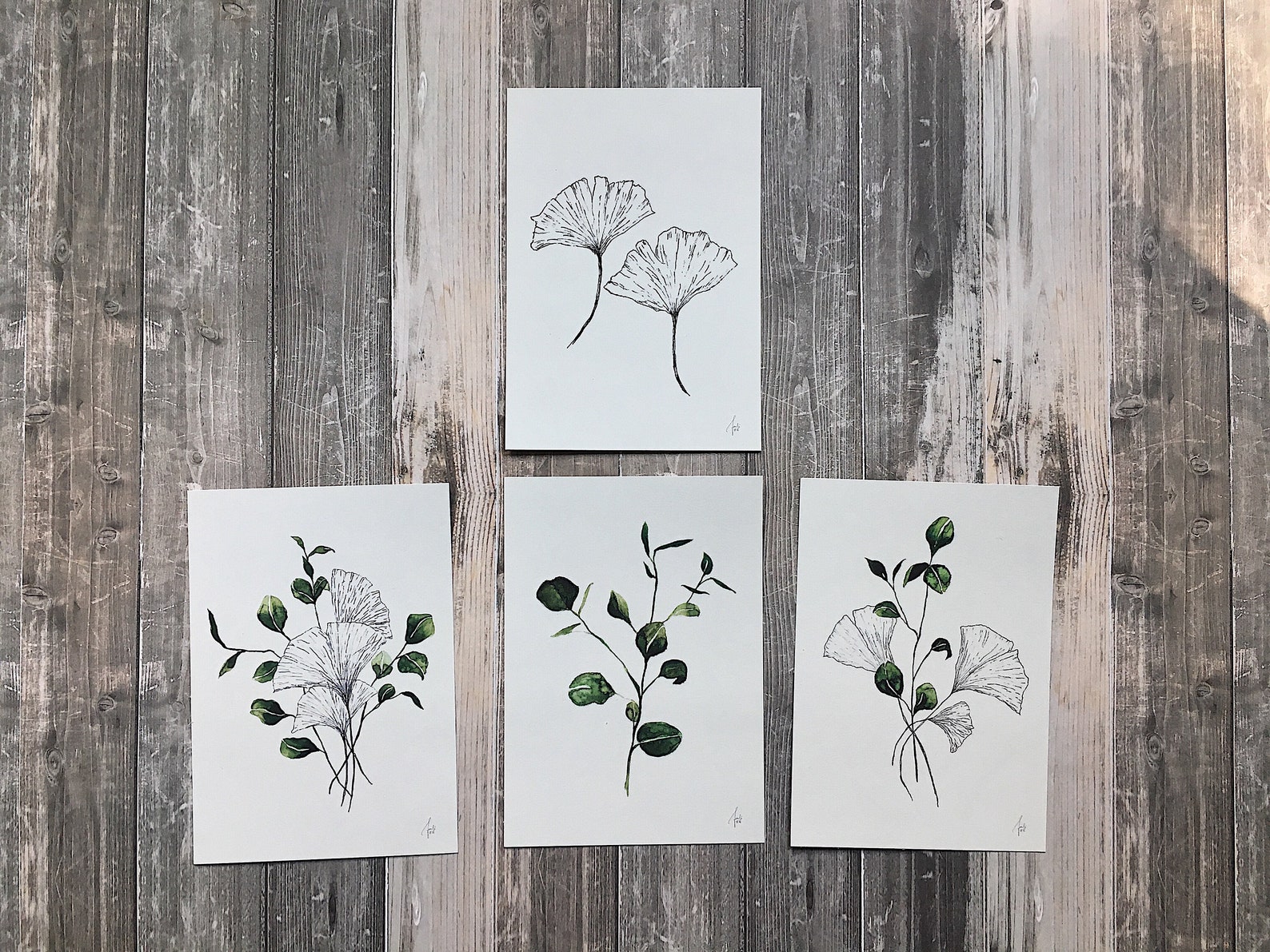 Ginkgo-eucalyptus Postcards - Etsy