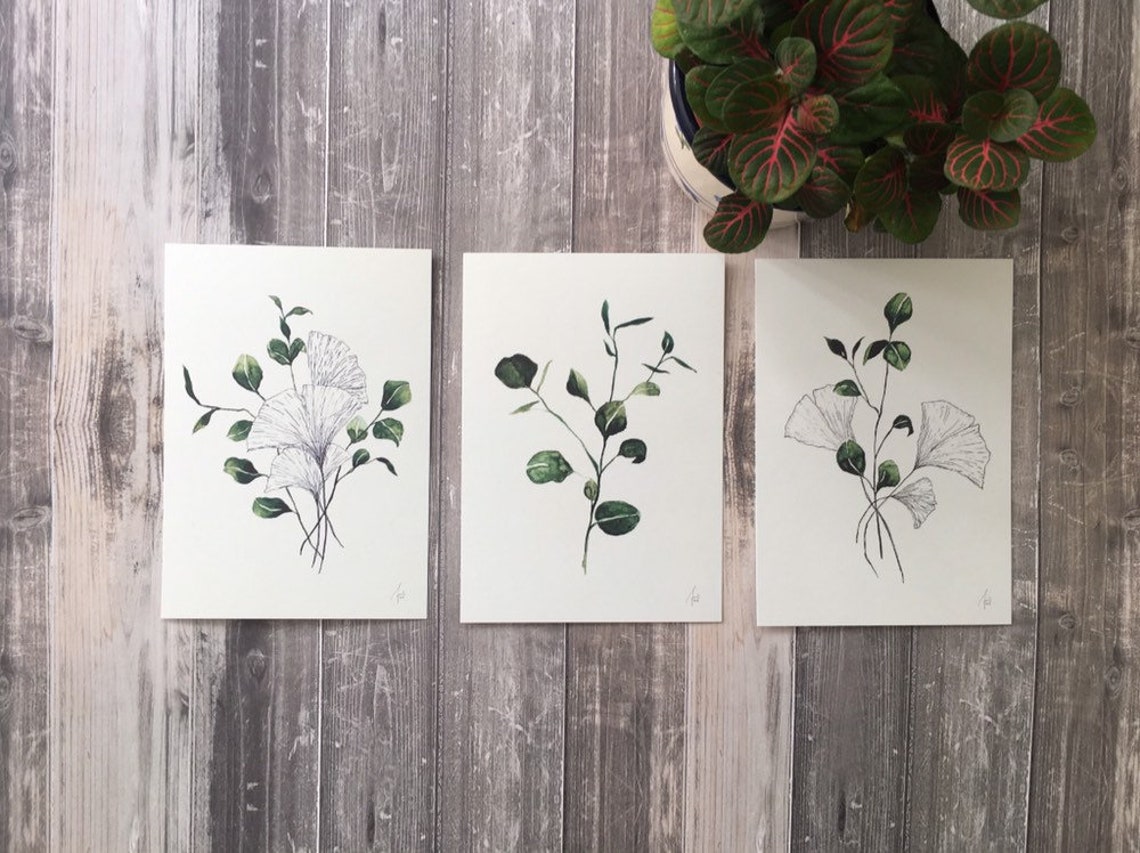 Ginkgo-eucalyptus Postcards - Etsy
