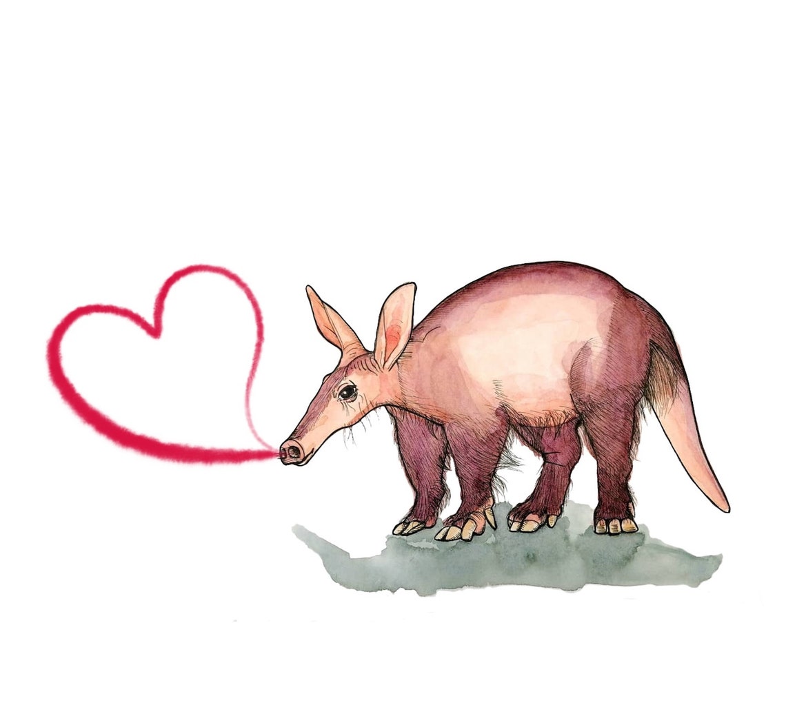 Handmade Aardvark Animal Art Print Love Exotic Animal - Etsy