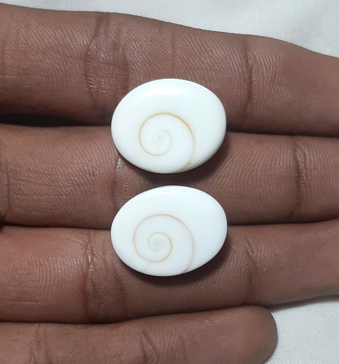 Shiva Eye Shell Lot Natural Shiva Eye Shell Cabochonsshiva - Etsy