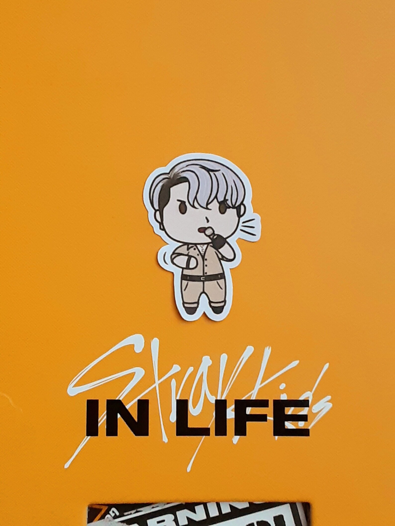 Stray Kids Changbin Back Door Chibi Sticker - Etsy
