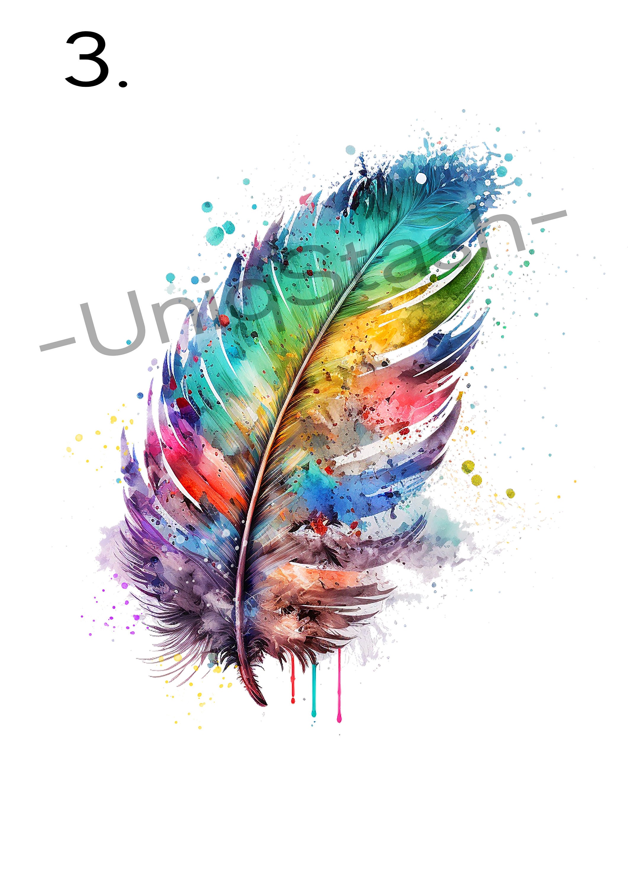 Colorful Feather Art