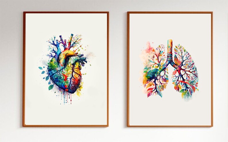 Unique Anatomical Heart Organ Drawing Print on Quality Canvas. - Etsy